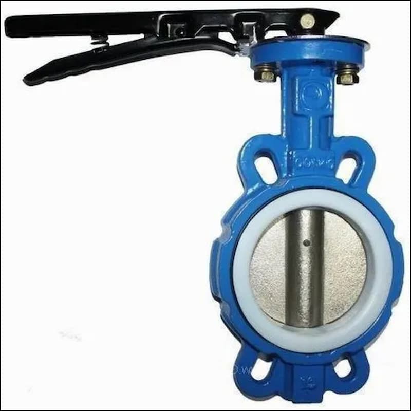 Tìm hiểu chi tiết về blue stainless steel butterfly valve