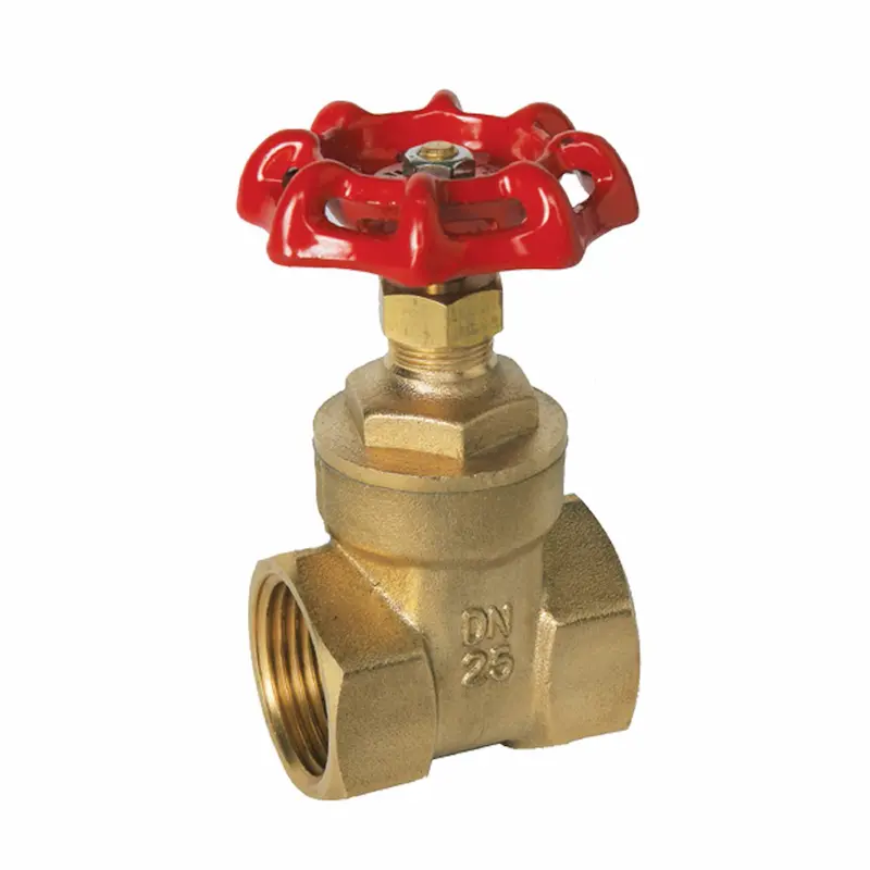 Tìm hiểu rõ về các thông tin của gate valve dn25 hiện nay